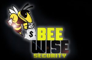Bee Wise Security, Essex, specialising in Alarms and CCTV